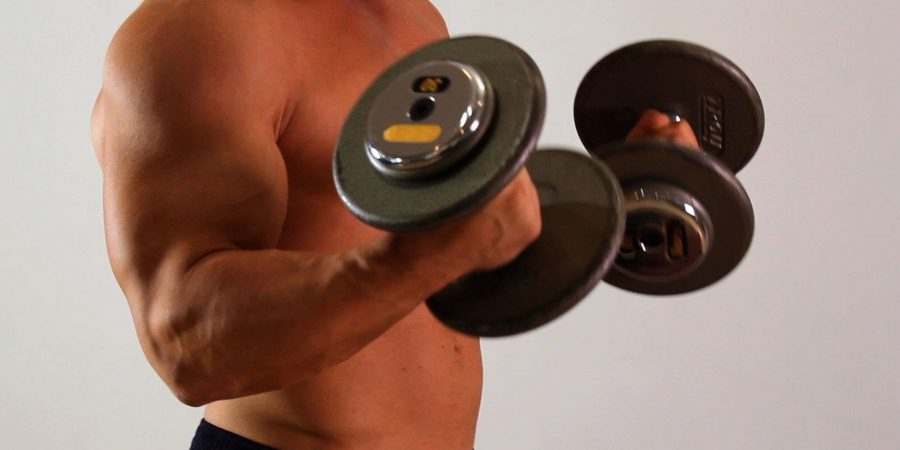 Dumbbell Curl Exercise Dumbbell Curls For Arms Workout